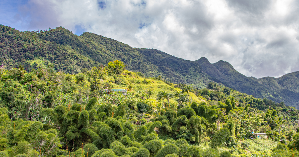 Guía Segura Triple-S: Viaje y diversión en Puerto Rico